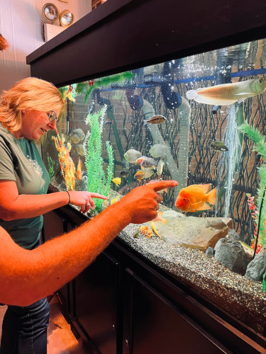 Gallery | Serenity Aquarium & Aviary Services
