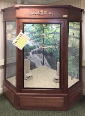 Gallery | Serenity Aquarium & Aviary Services