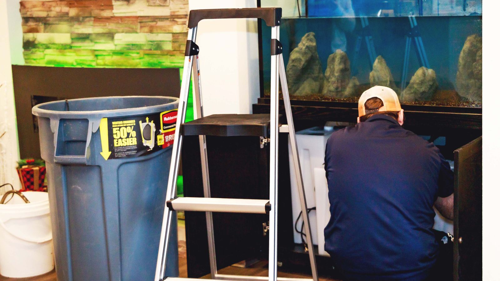 Aquarium & Fish Tank Cleaning Service | Serenity Aquarium & Aviary Services