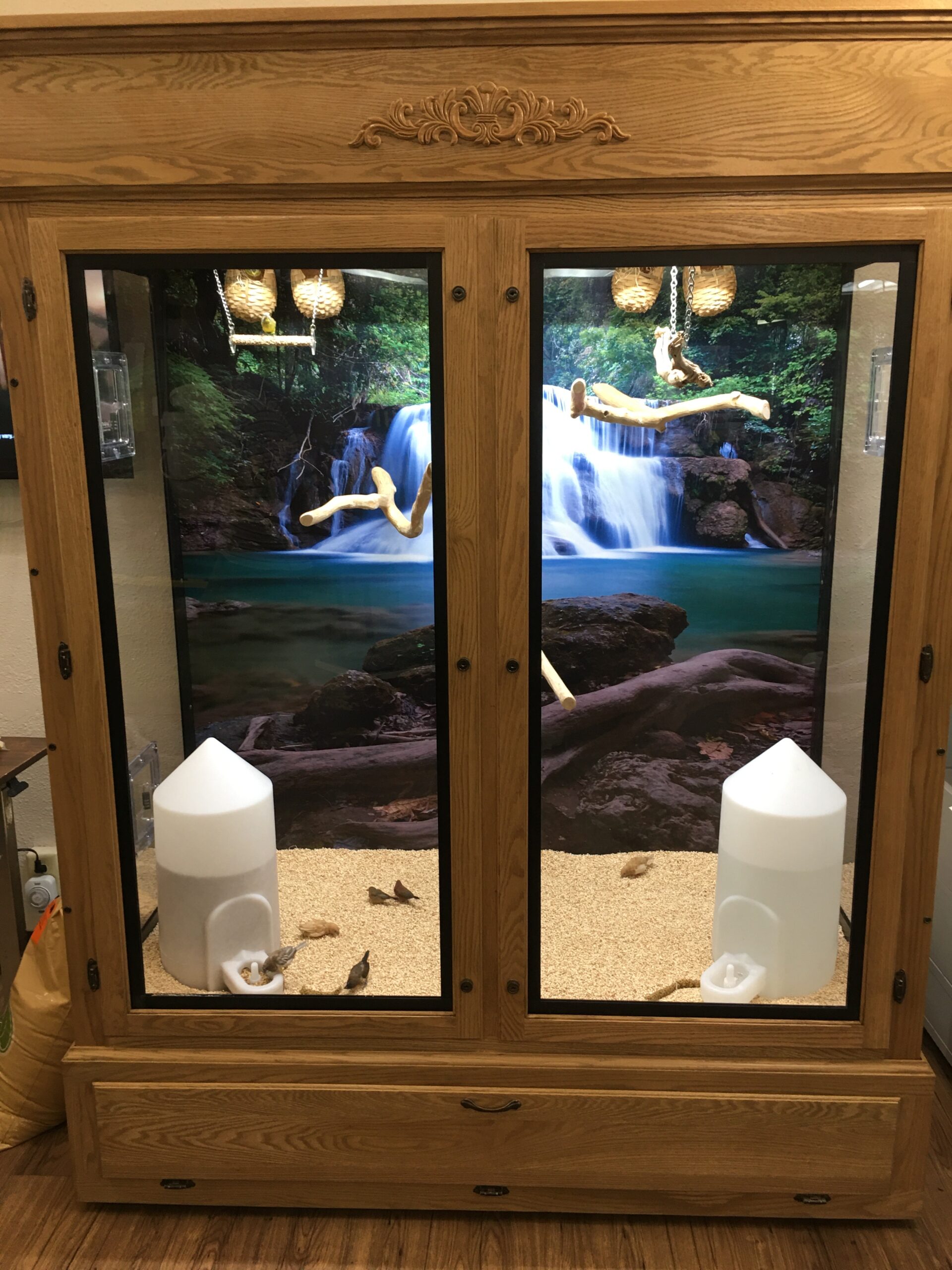 Aviary Leasing | Serenity Aquarium & Aviary Services