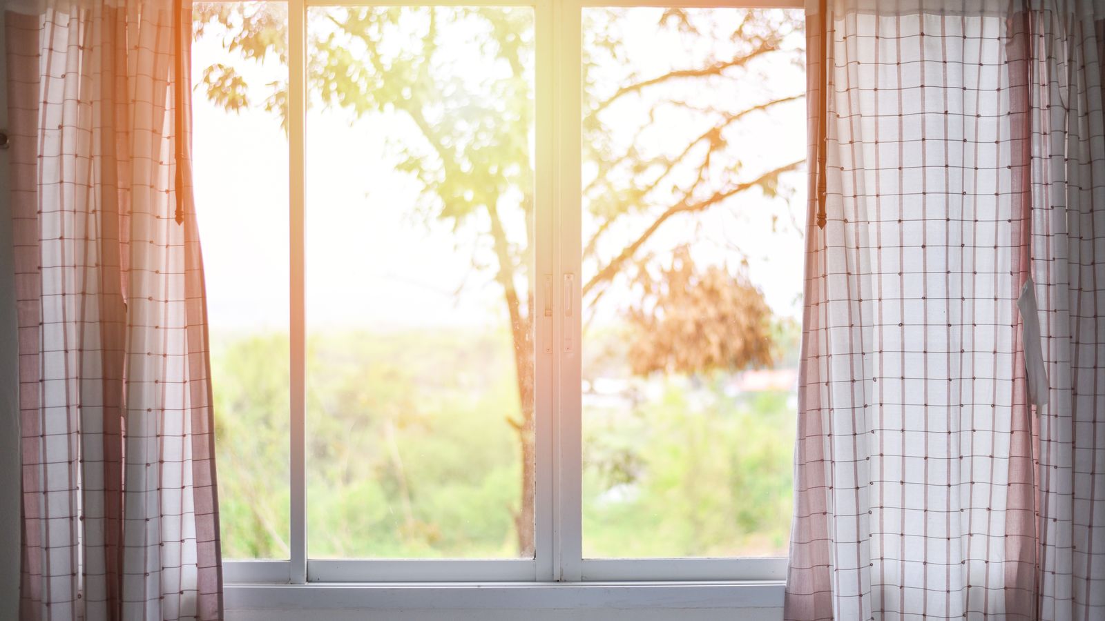 6 Ways to Bring Nature into Your Nursing Home | Serenity Aquarium ...