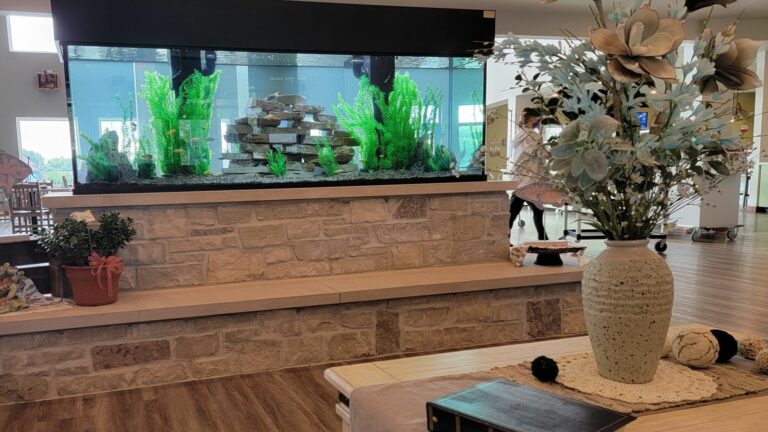 Aquariums for Offices & Lobbies | Serenity Aquarium & Aviary Services