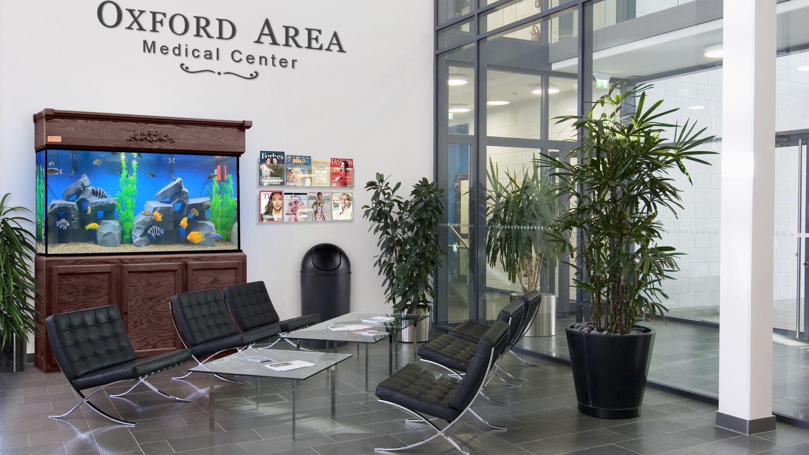 Office Fish Tanks - Everything You Need to Know | Serenity Aquarium ...