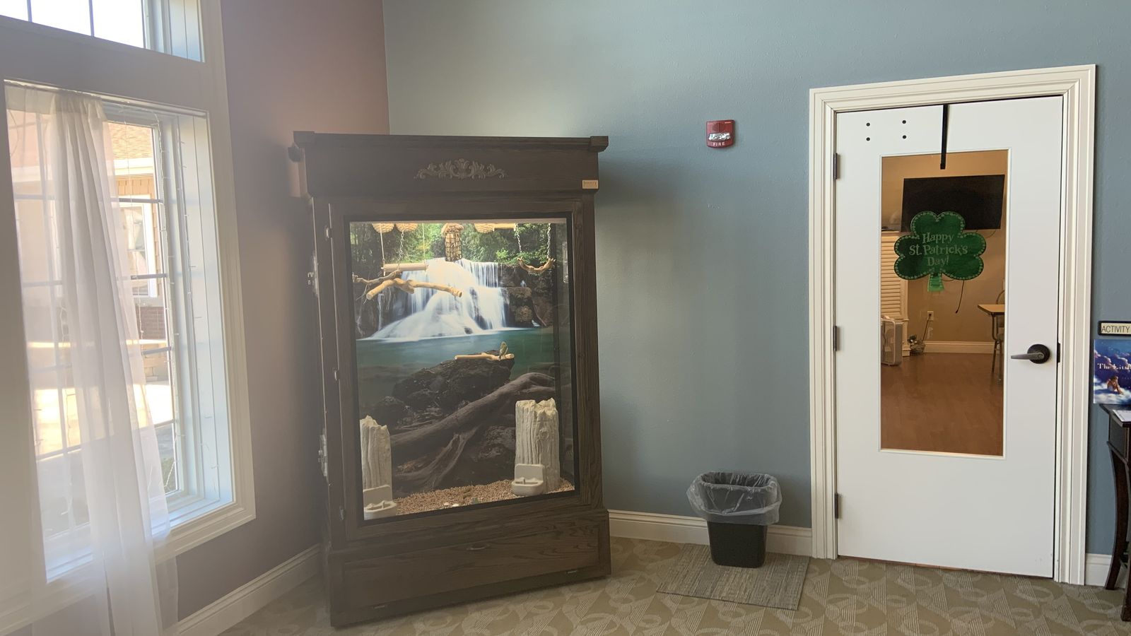 Aviary Leasing | Serenity Aquarium & Aviary Services